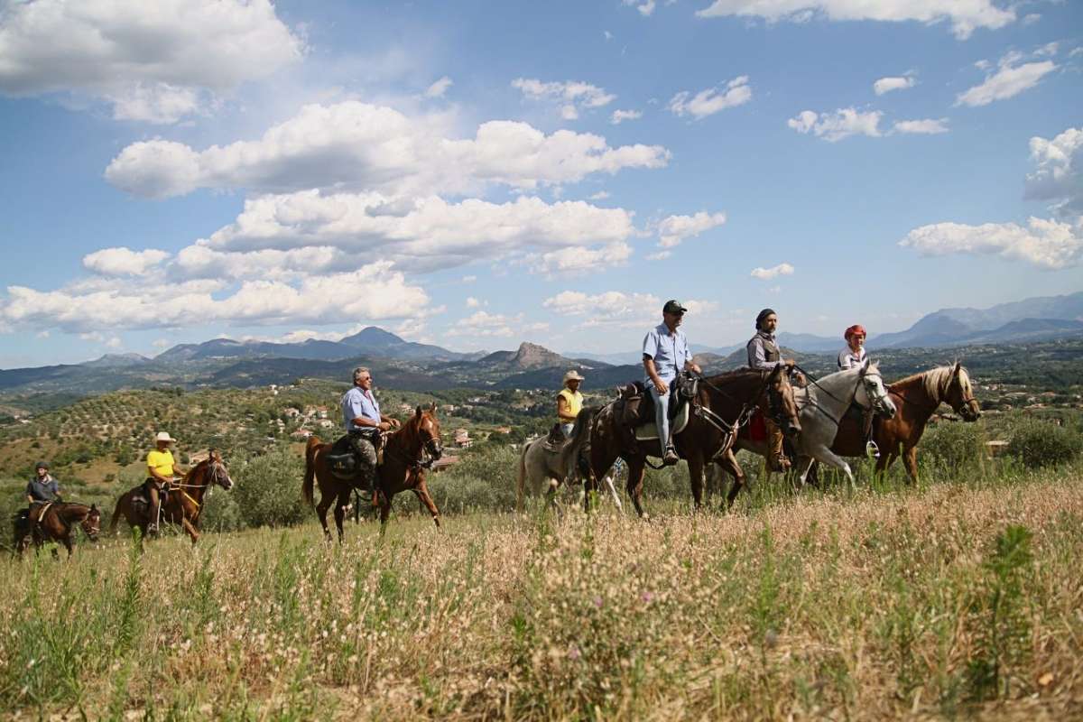 La via delle Prealpi: a cavallo dal Garda alla Foresta del Cansiglio ...